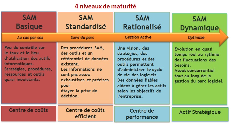 SAM, Évaluation de maturité - ITSM Consulting